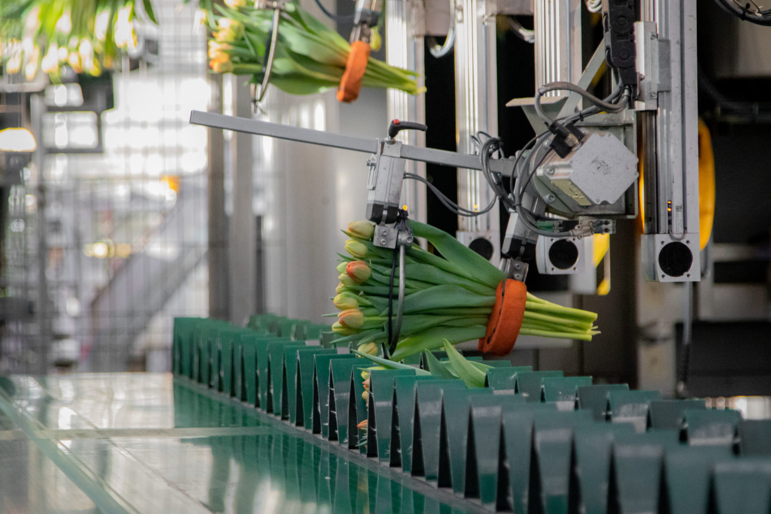 Who We Are – Poplar Farm Flowers