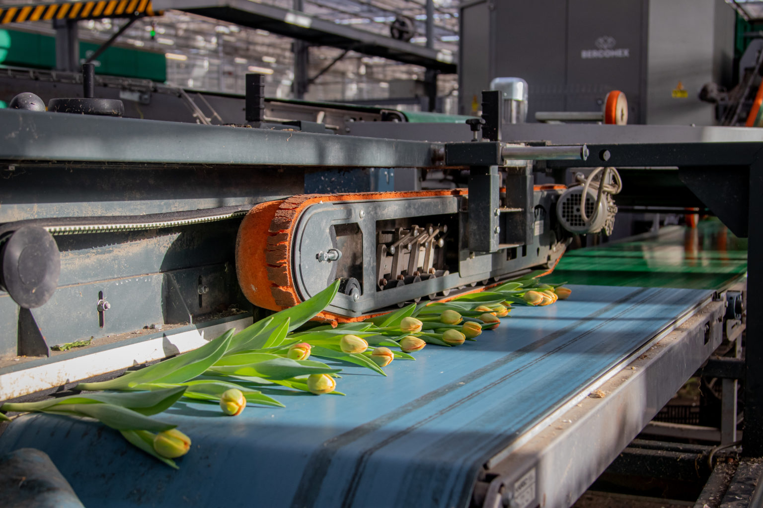 Who We Are – Poplar Farm Flowers